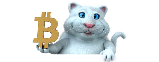 ① Buy Website Traffic From Industry Experts ⇒ Traffic-Fans.com